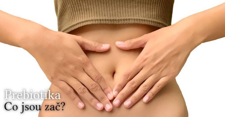 Prebiotika: Vše, co o nich potřebujete vědět - Probia.cz